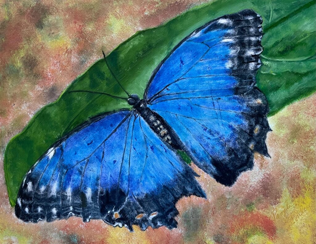 Blue Morpho Butterfly – Art by Pamela S Conley